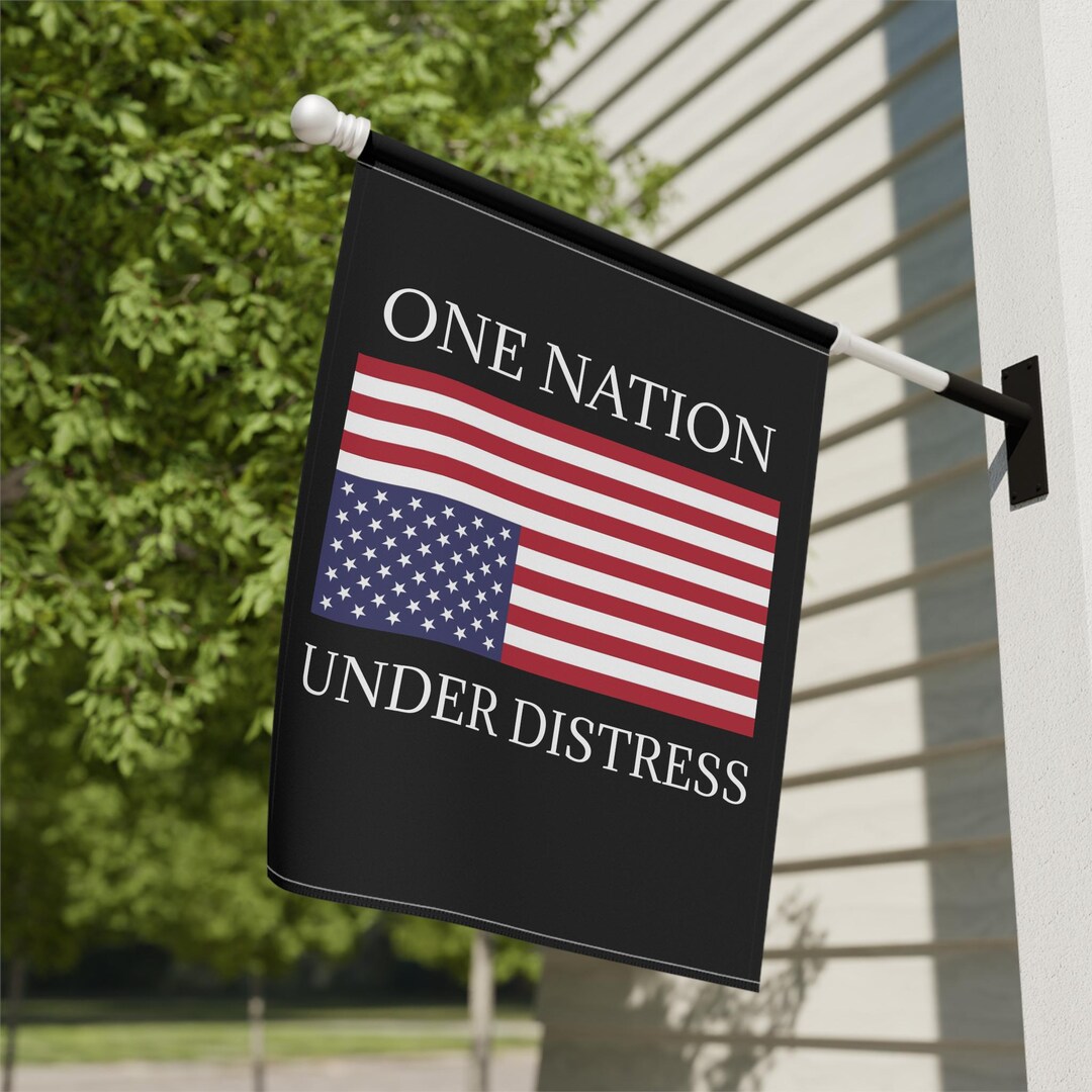 One Nation Under Distress | Protest Flag, Defend the Constitution ...