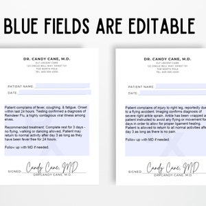 Elf Sick Note Editable, Elf Injury & Recovery Letter, Doctors Note for ...