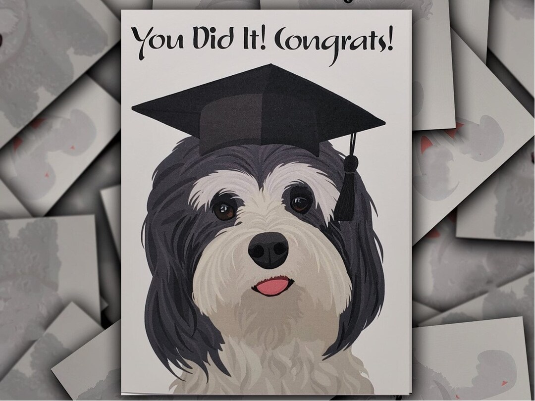Havanese Congrats on Graduation Card, Gray and White Havanese Dog Gift ...