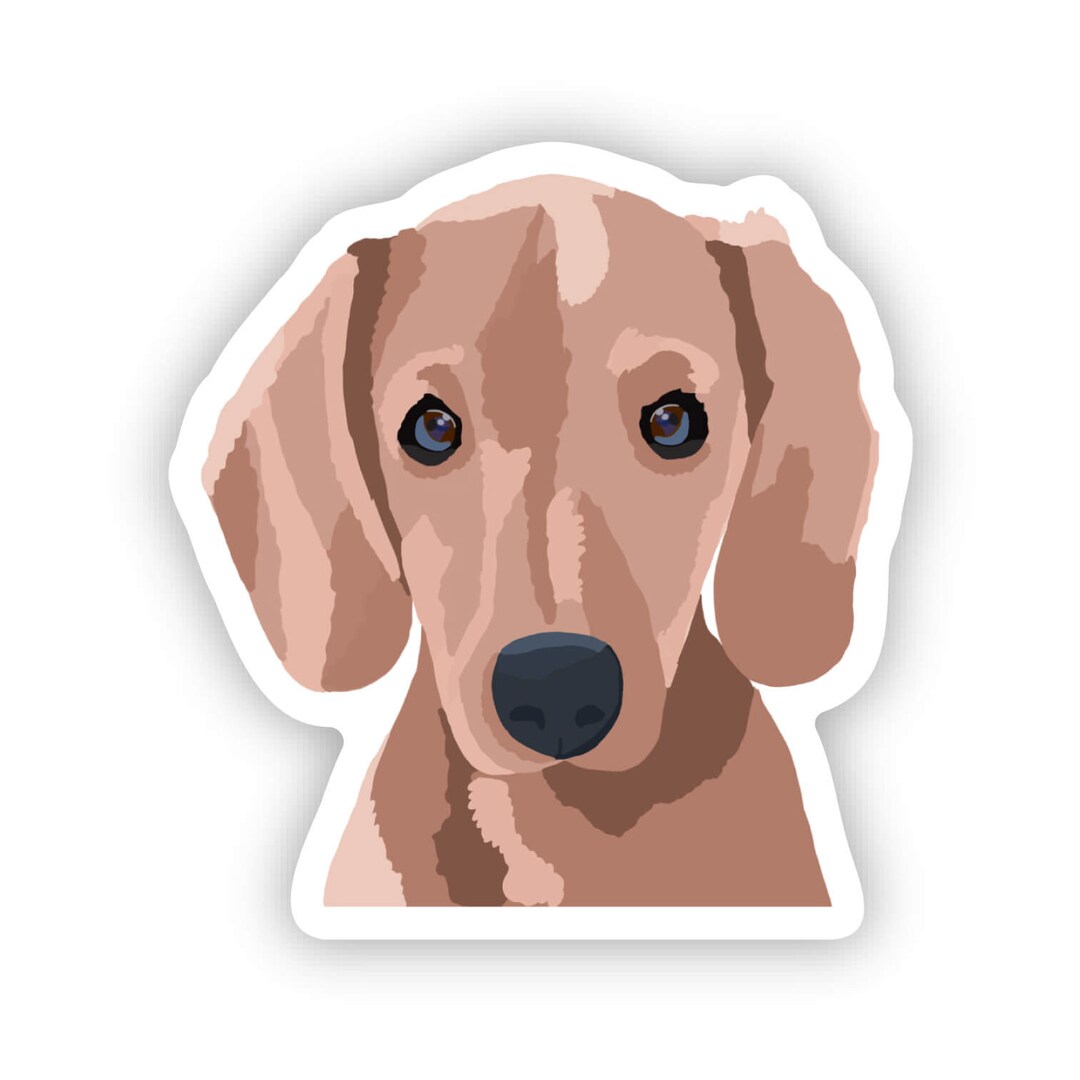 Dachshund Dog Sticker, Die Cut Vinyl, Doxie Weiner, Water Bottle ...
