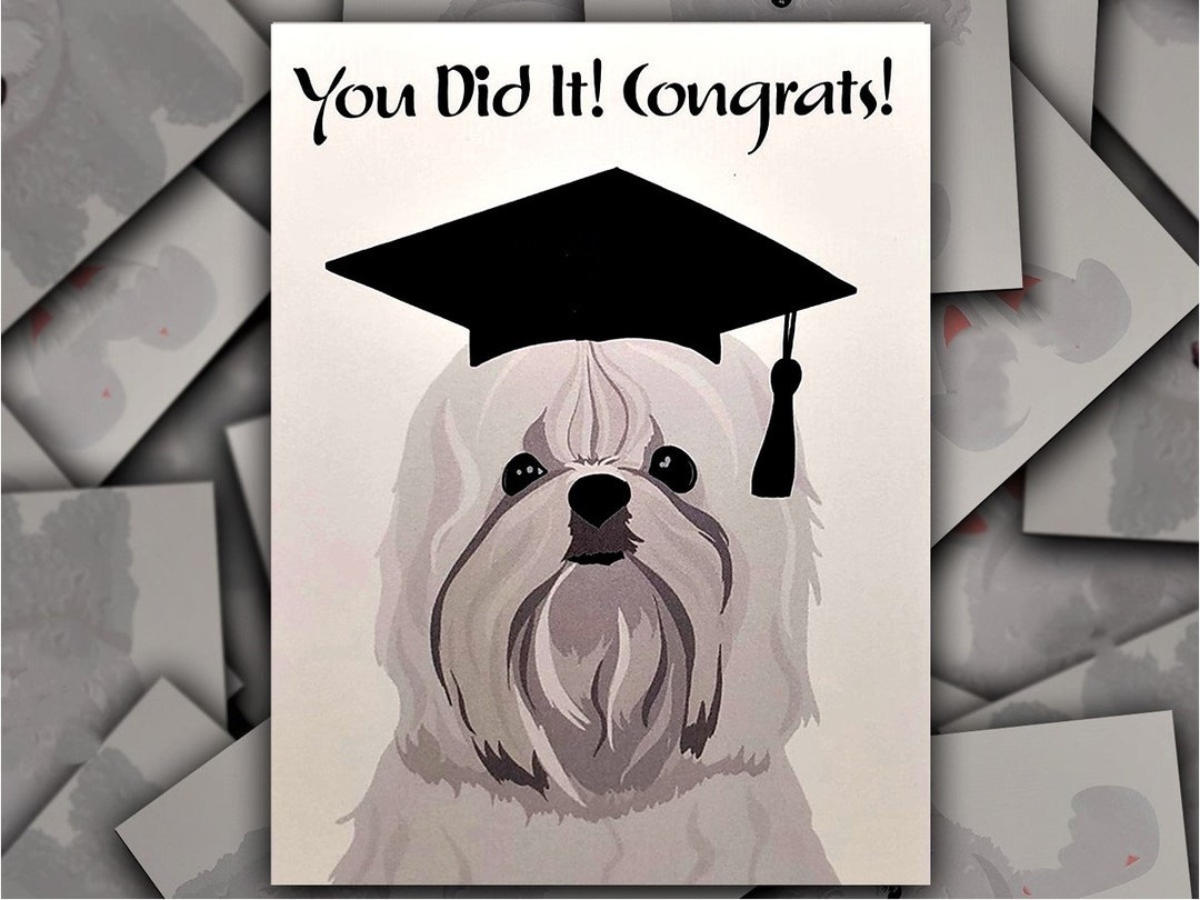 Maltese Congrats on Graduation Card, White Maltese Dog Gift Card ...