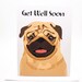 Pug Get Well Soon Card, Pug Gift Card, Pug Puppy Dog Blank Get Well ...