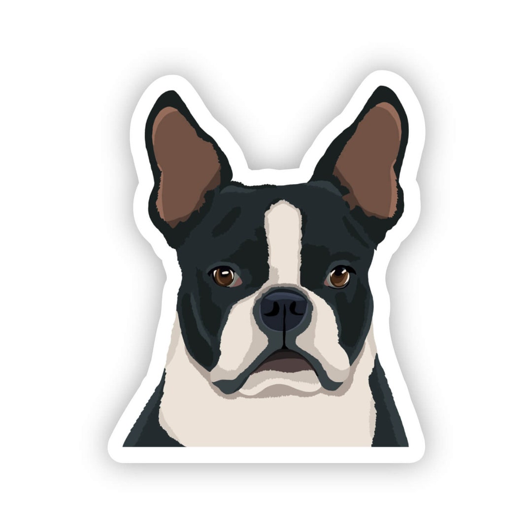 Black Boston Terrier Dog Sticker, Die Cut Vinyl, Water Bottle, Laptop ...