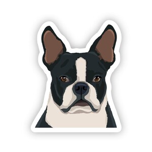 Black Boston Terrier Dog Sticker, Die Cut Vinyl, Water Bottle, Laptop ...