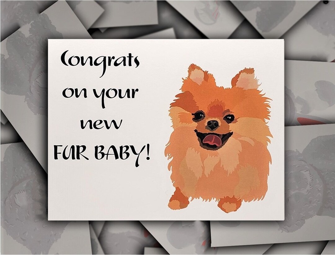 Pomeranian Congrats on New Fur Baby, Pomeranian Dog Mom, Pom Pommie New ...