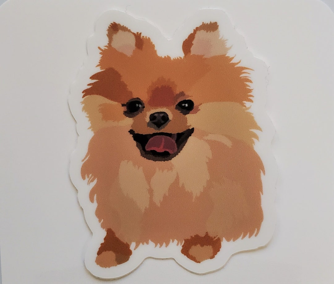 Pomeranian Pom Dog Sticker Die Cut Vinyl Water Bottle - Etsy