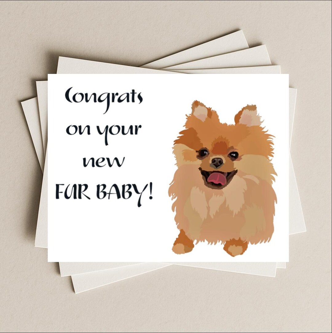 Pomeranian Congrats on New Fur Baby, Pomeranian Dog Mom, Pom Pommie New ...