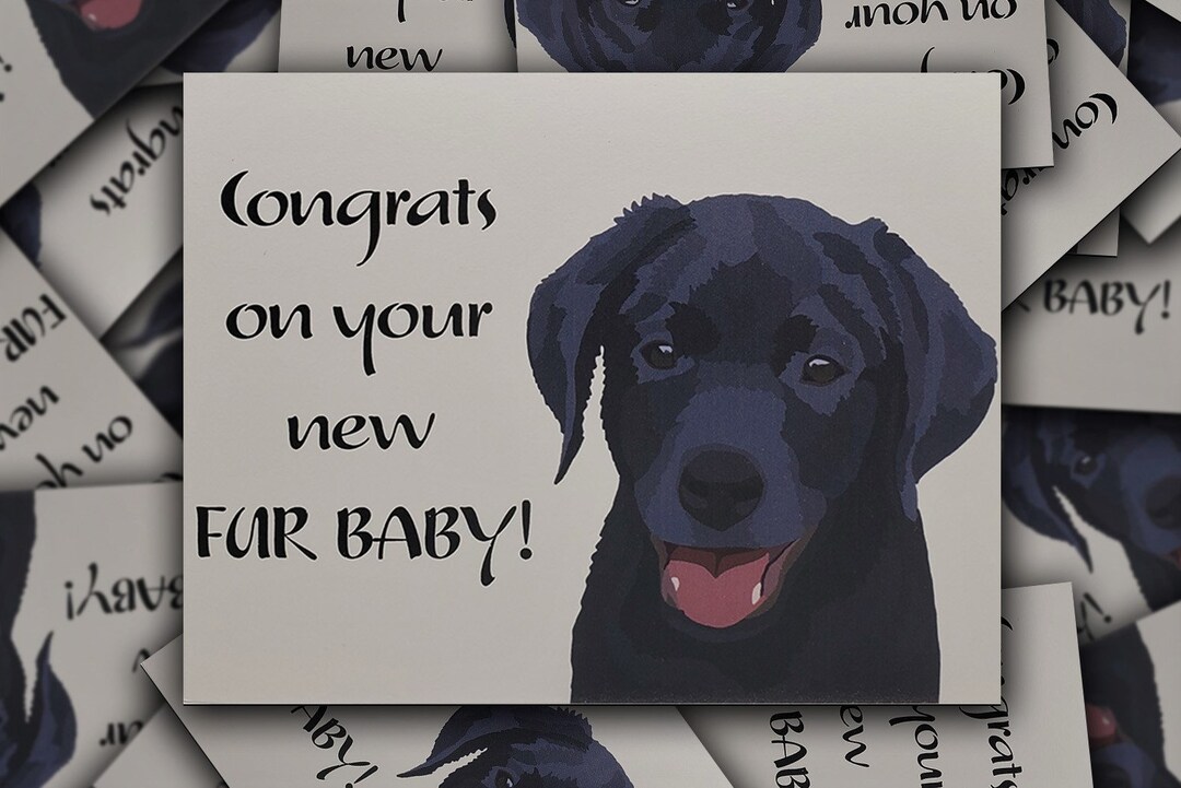 Black Labrador Retriever Congrats on New Fur Baby Black Lab - Etsy