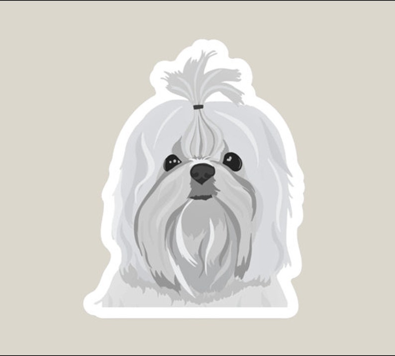 Maltese Dog Sticker Die Cut Vinyl Water Bottle Laptop - Etsy