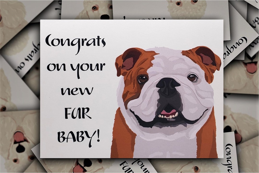 English Bulldog Congrats on New Fur Baby English Bulldog Dog - Etsy