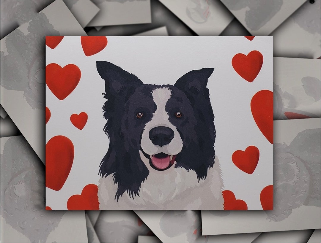 Border Collie Love Valentine Anniversary Card, Black and White Border ...