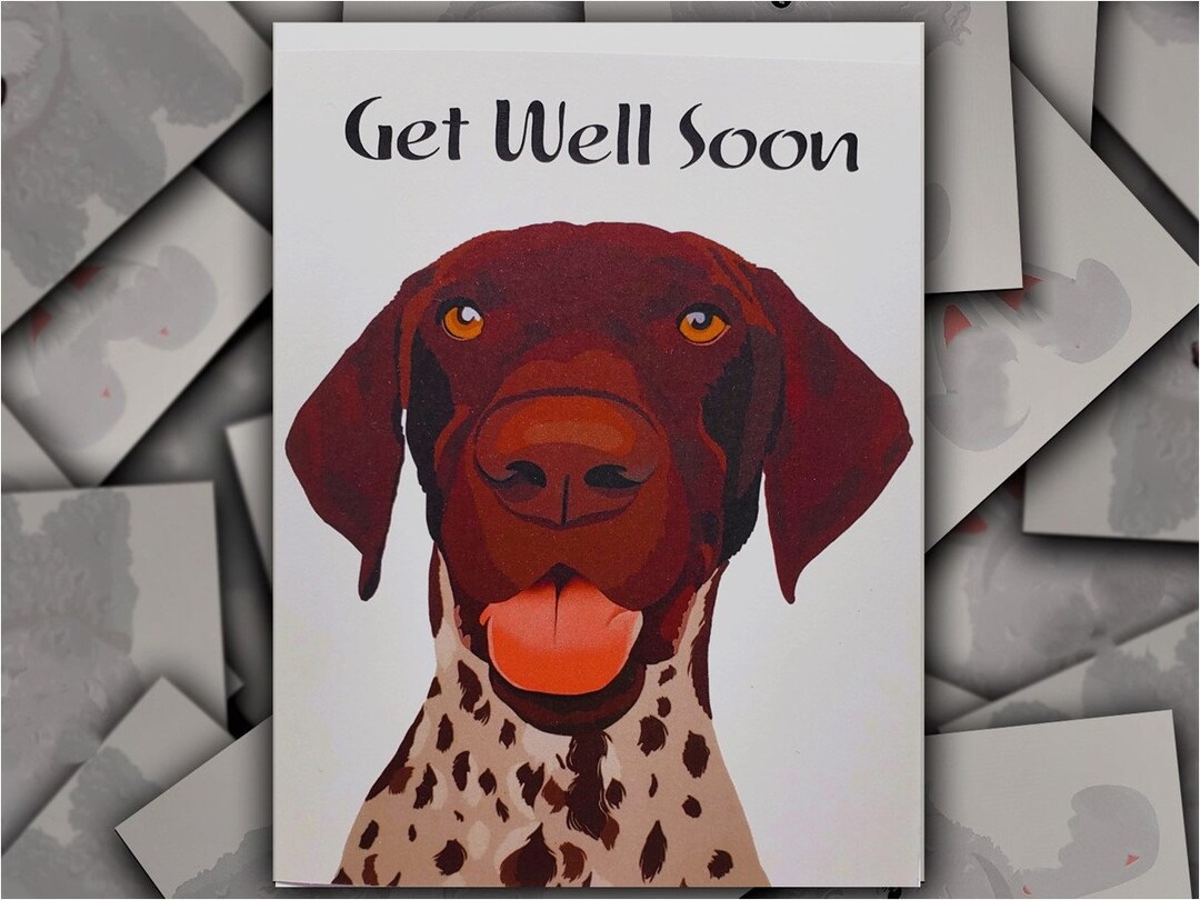 Brown GSP German Shorthaired Pointer Get Well Soon Card, German ...