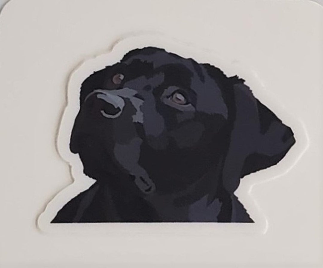 Black Labrador Dog Sticker Die Cut Vinyl Water Bottle - Etsy
