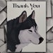 Siberian Husky Thank You Card Single Card Siberian Husky Dog - Etsy