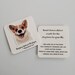Pembroke Welsh Corgi Congrats on Graduation Card, Red White Corgi Dog ...