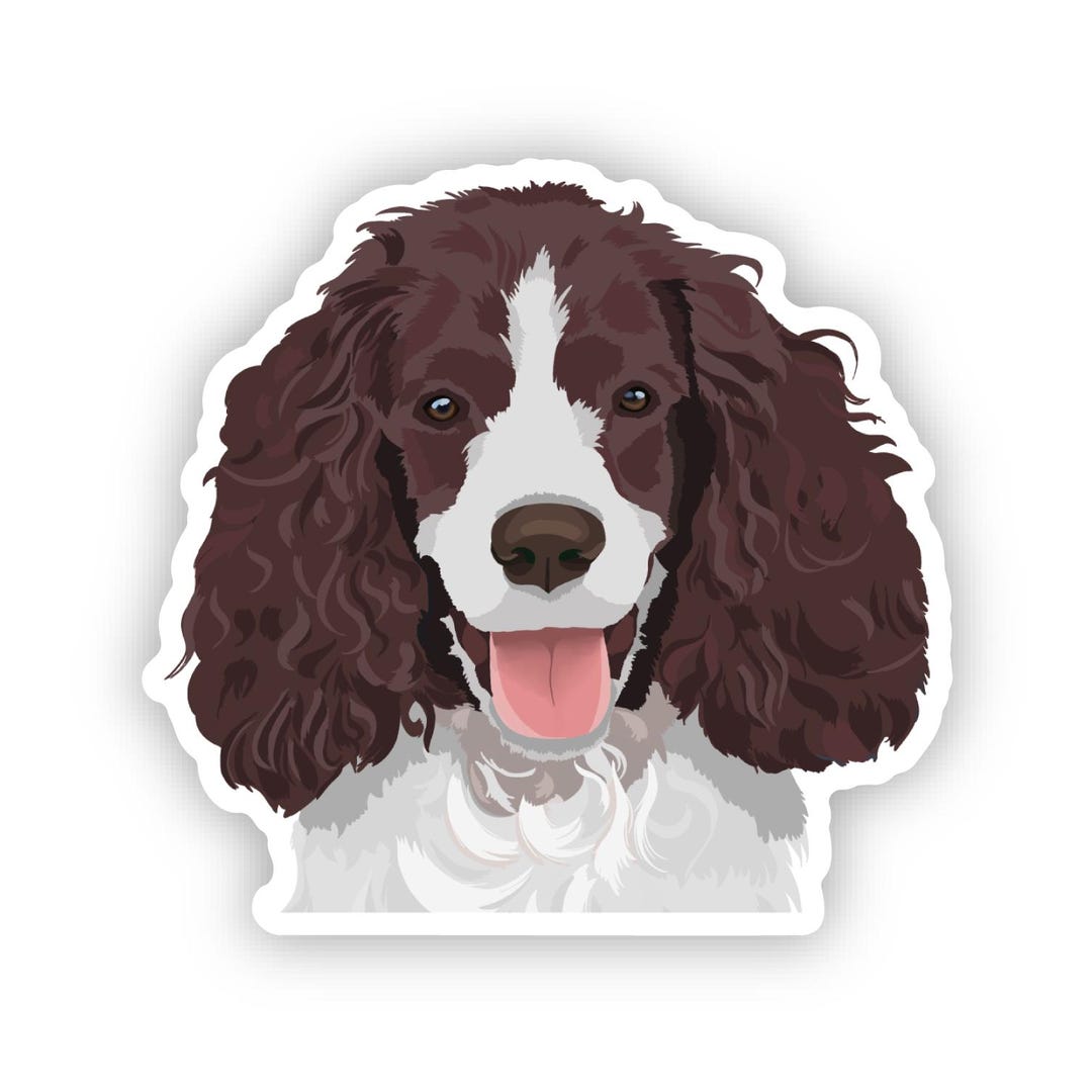 Springer Spaniel Liver White Dog Sticker, Die Cut Vinyl, Water Bottle ...