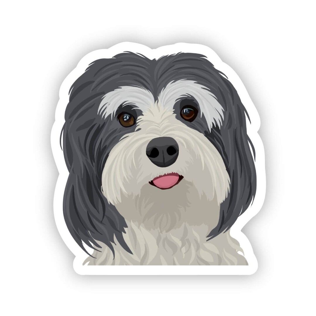 Havanese Dog Sticker, Die Cut Vinyl, Water Bottle, Laptop, Phone Case ...