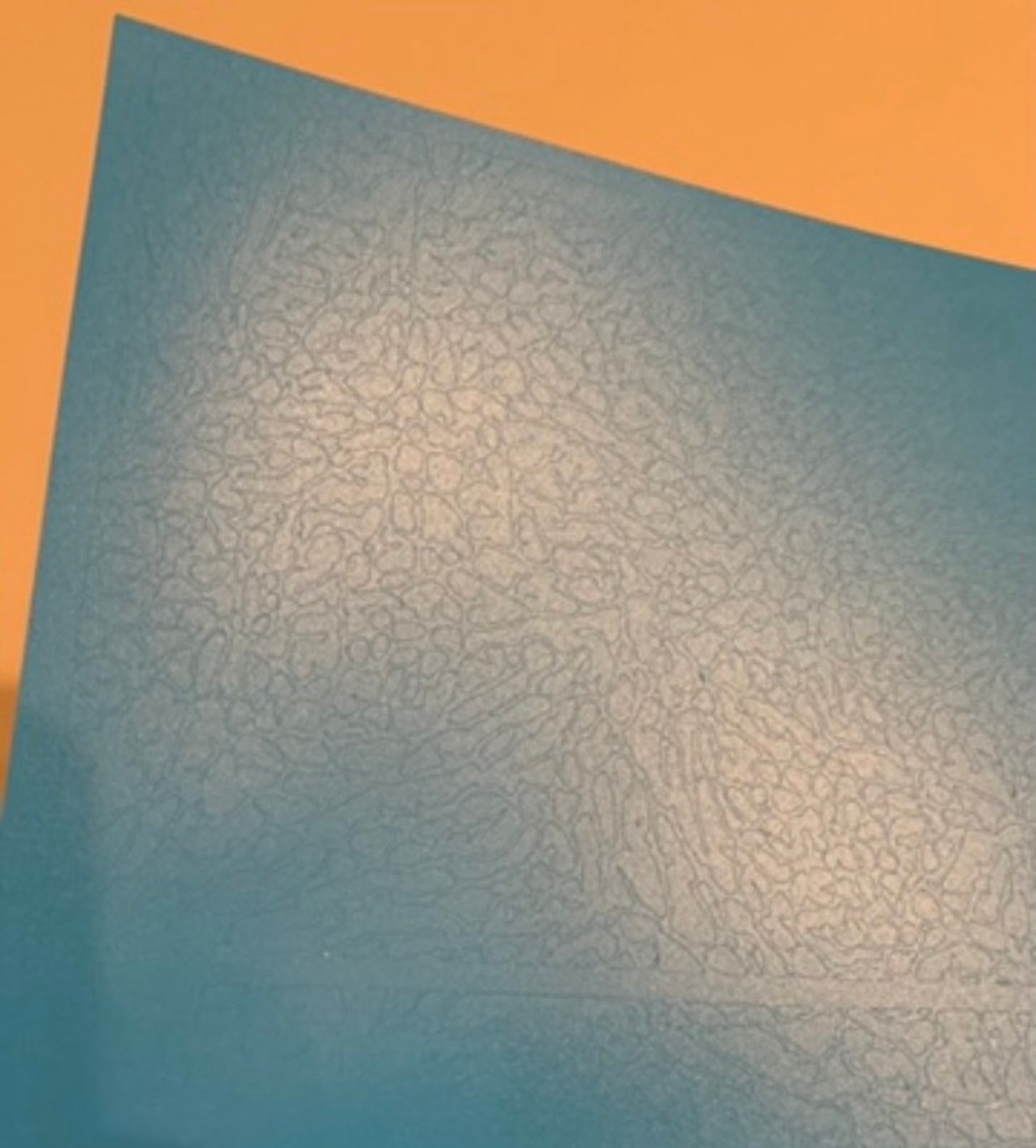 Elephant Print Stencil - Etsy