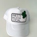 Pretty Much Local Cactus White Trucker Hat | Arizona Hat | Large Patch ...