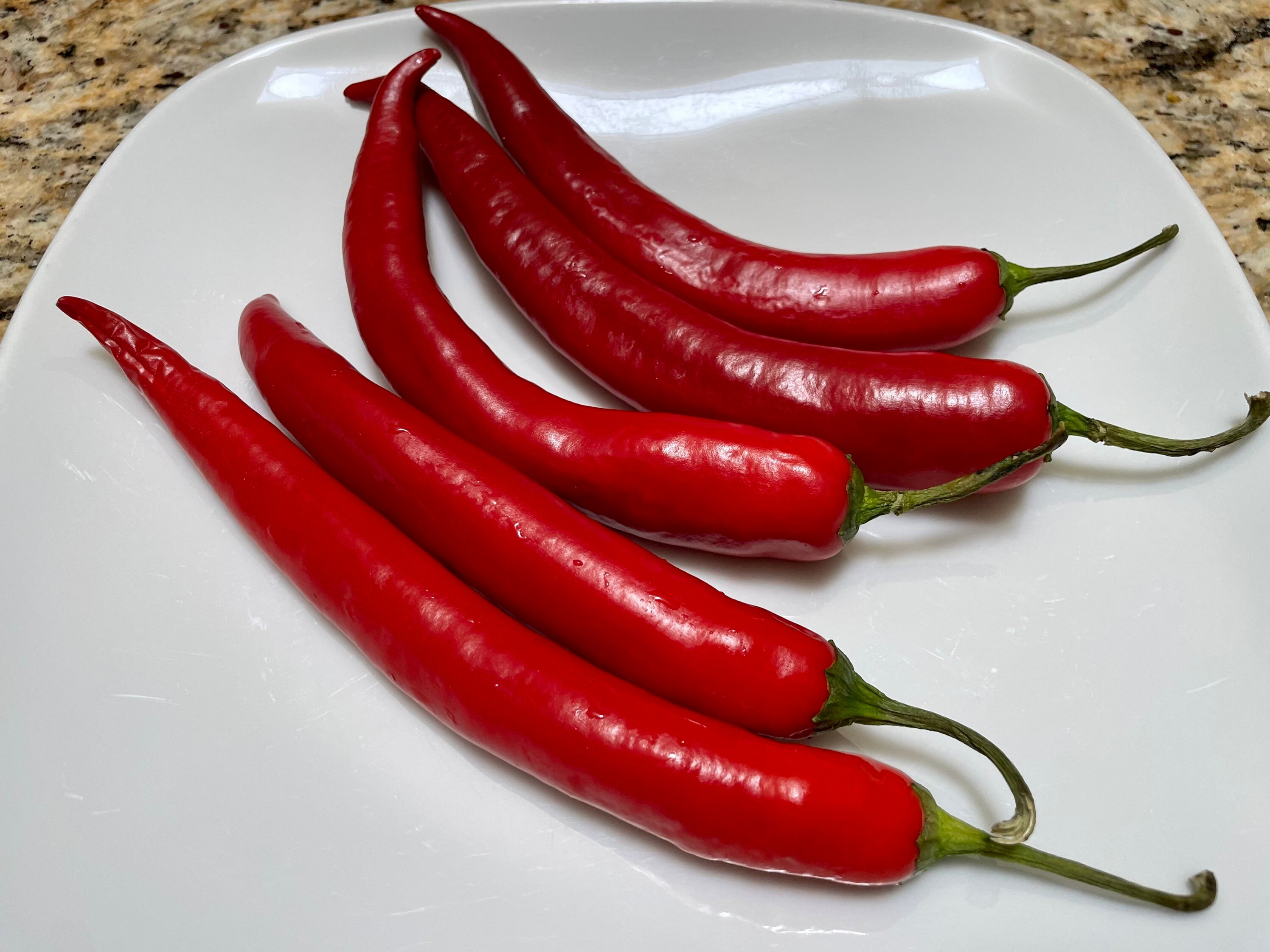 Gochu Pepper Seeds, Korean Kimchi Chili Pepper, Grown in USA , High ...