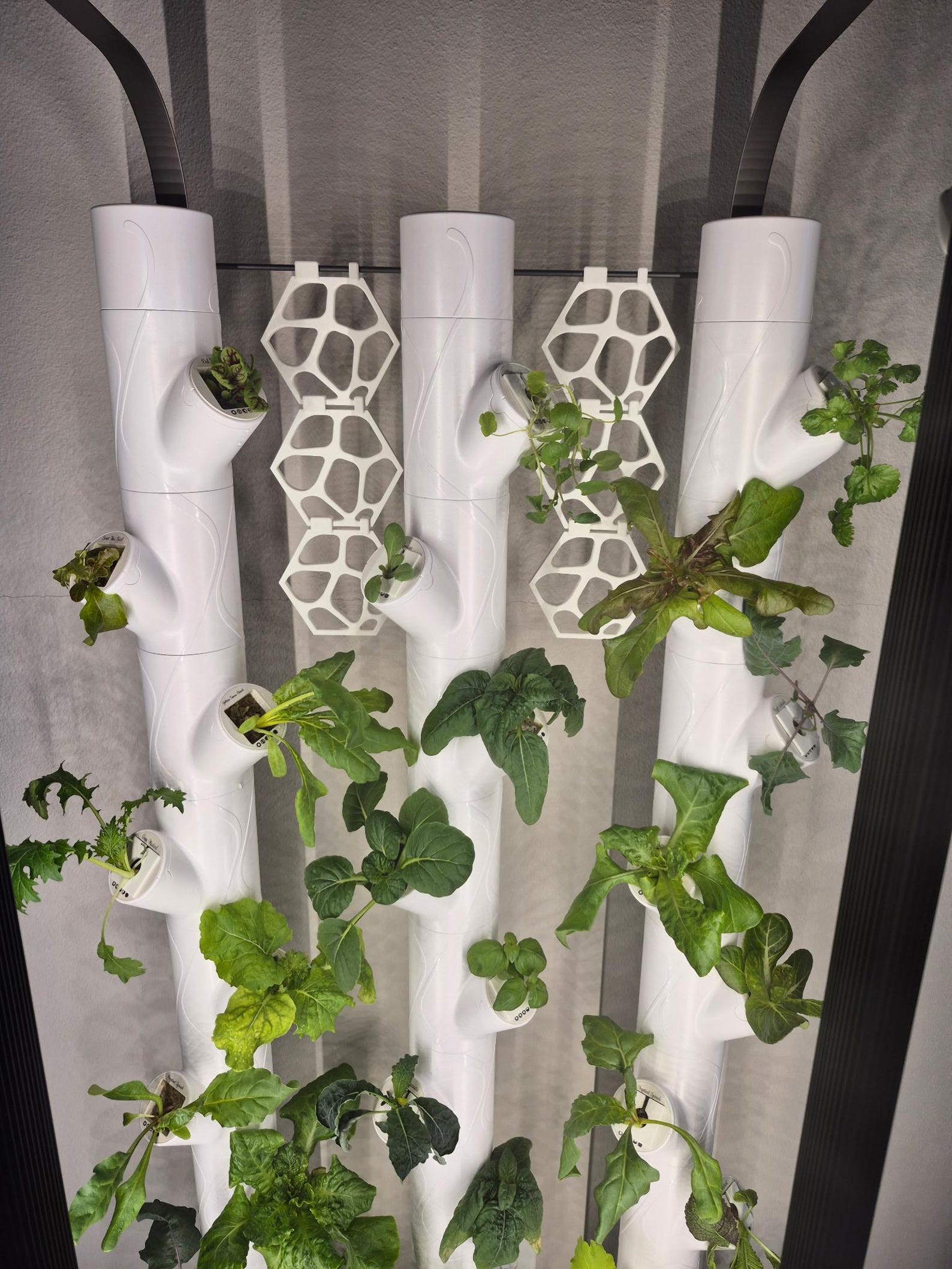 3D Printed Gardyn Trellis 8 Pieces, Trellis for Gardyn System ...