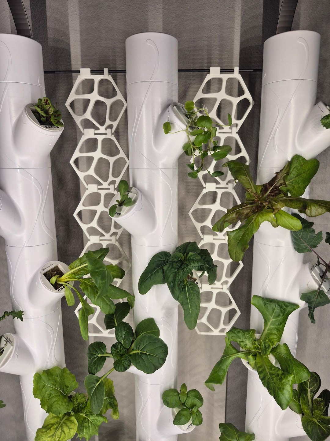 3D Printed Gardyn Trellis 8 Pieces, Trellis for Gardyn System ...