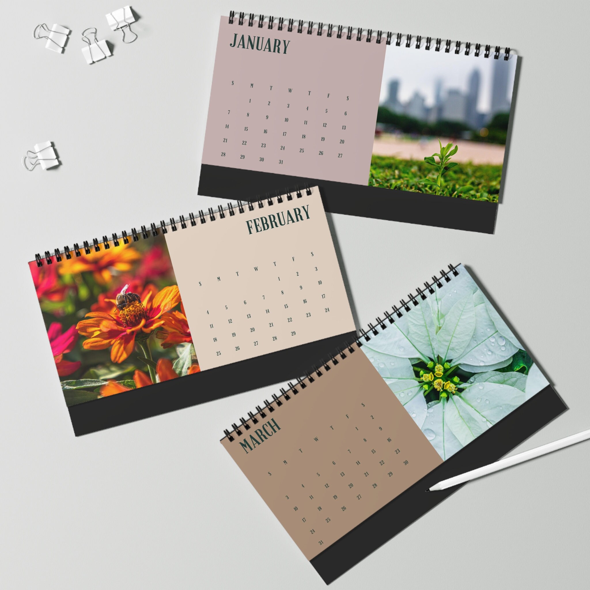 Plants 2024 Desk Calendar - Etsy