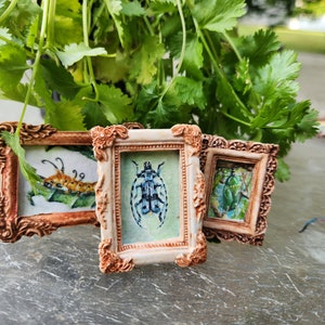 Miniature Bug Paintings, Dollhouse Size Watercolor, Framed Tiny Art - Etsy