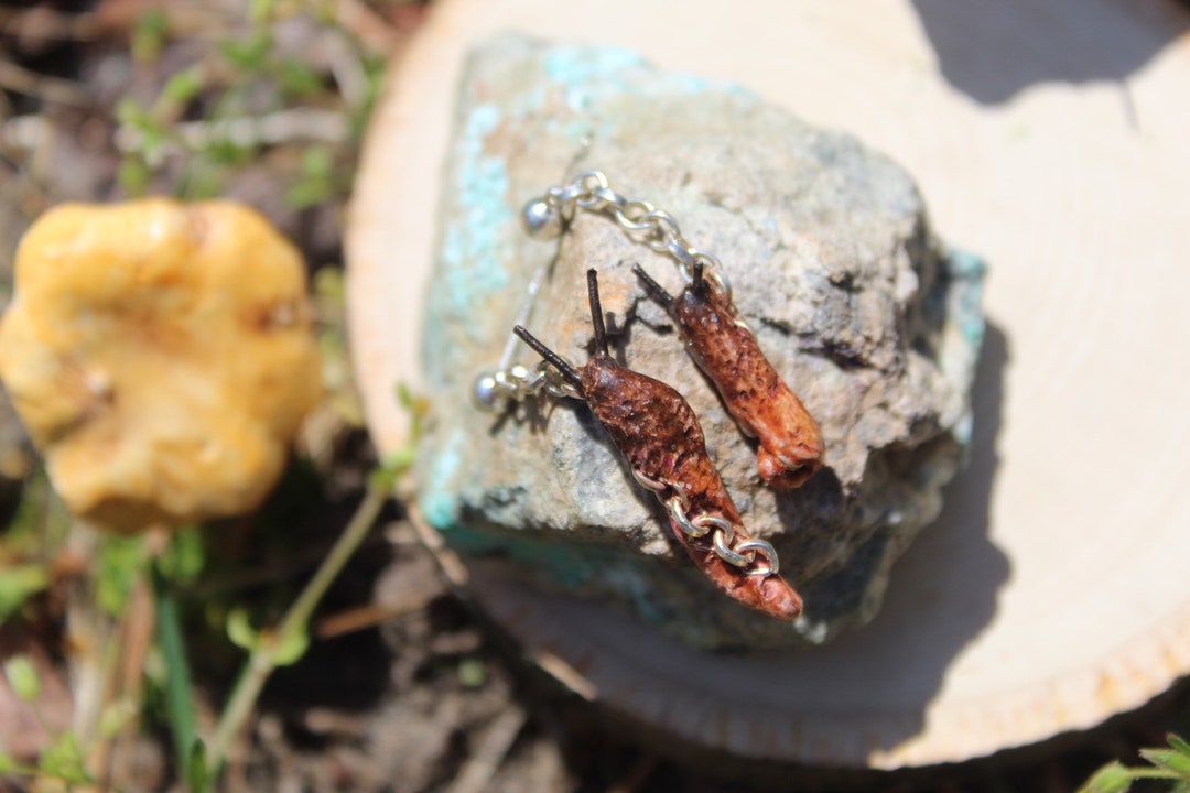 Slug Dangle Earrings, Nature Jewelry for Snail and Slug Lovers ...
