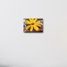 Floating Daisy in Water Photo on Canvas - Etsy