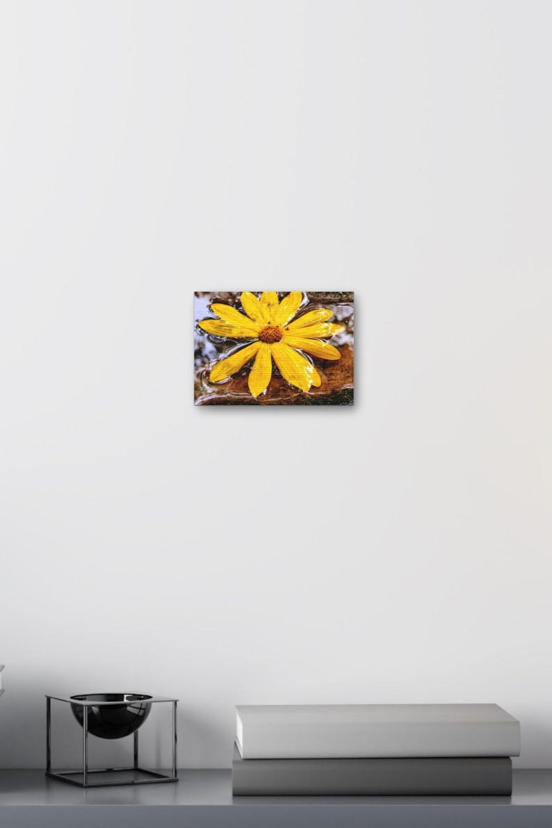 Floating Daisy in Water Photo on Canvas - Etsy