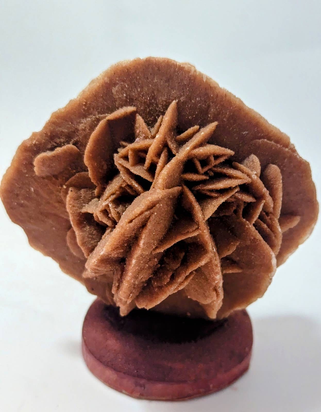 Large Barite Desert Rose Gypsum Two Sided - Etsy