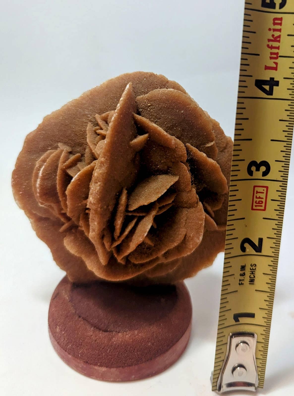Large Barite Desert Rose Gypsum Two Sided - Etsy