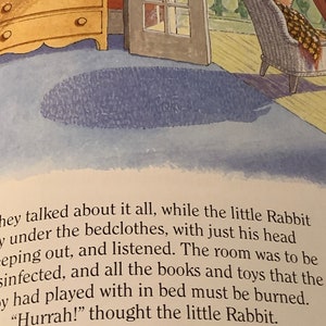 1986 Vintage the Velveteen Rabbit or How Toys Become Real Hardback ...