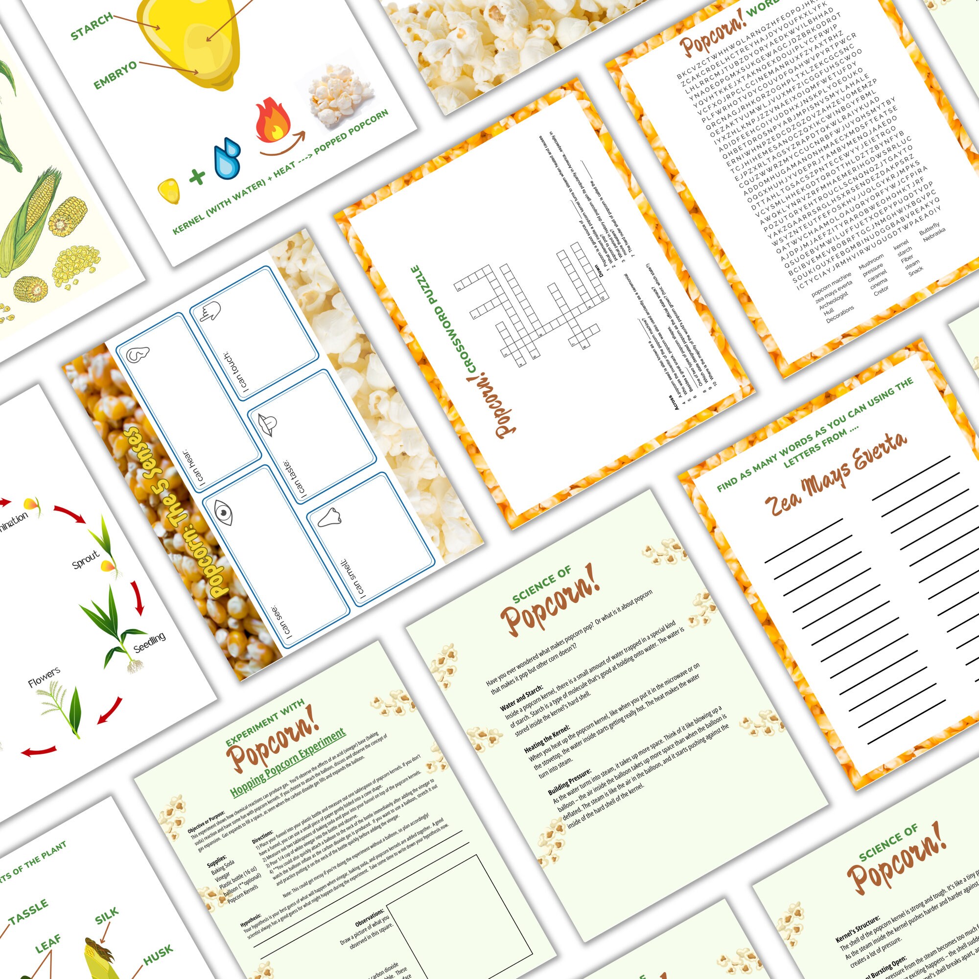 Popcorn Unit Study for Homeschool - Etsy