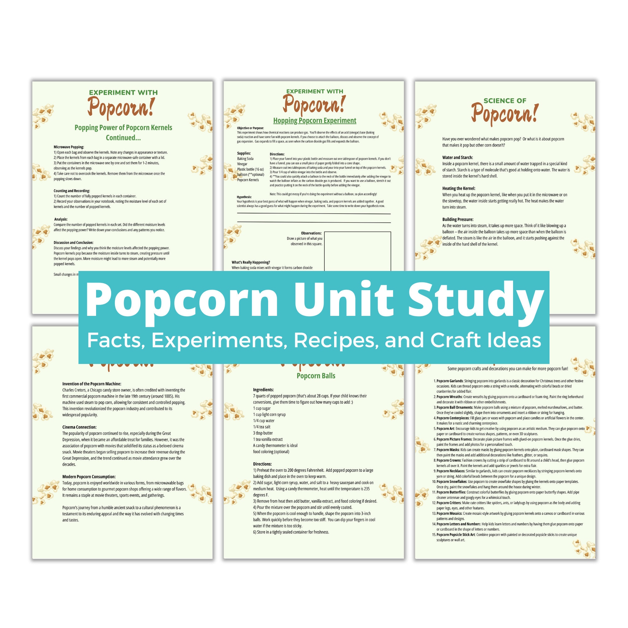 Popcorn Unit Study for Homeschool - Etsy