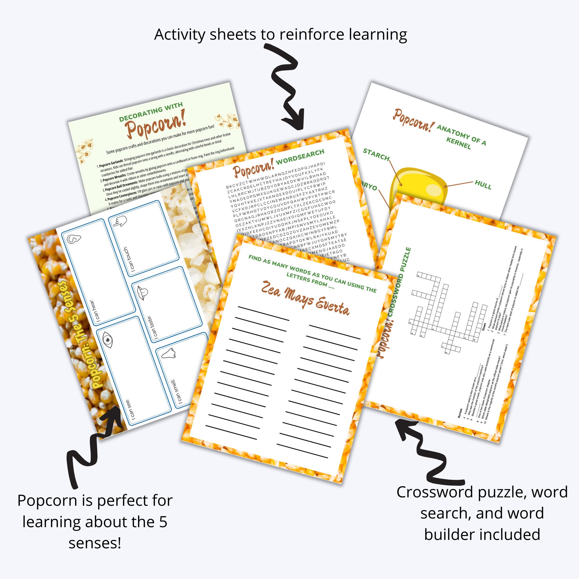 Popcorn Unit Study for Homeschool - Etsy