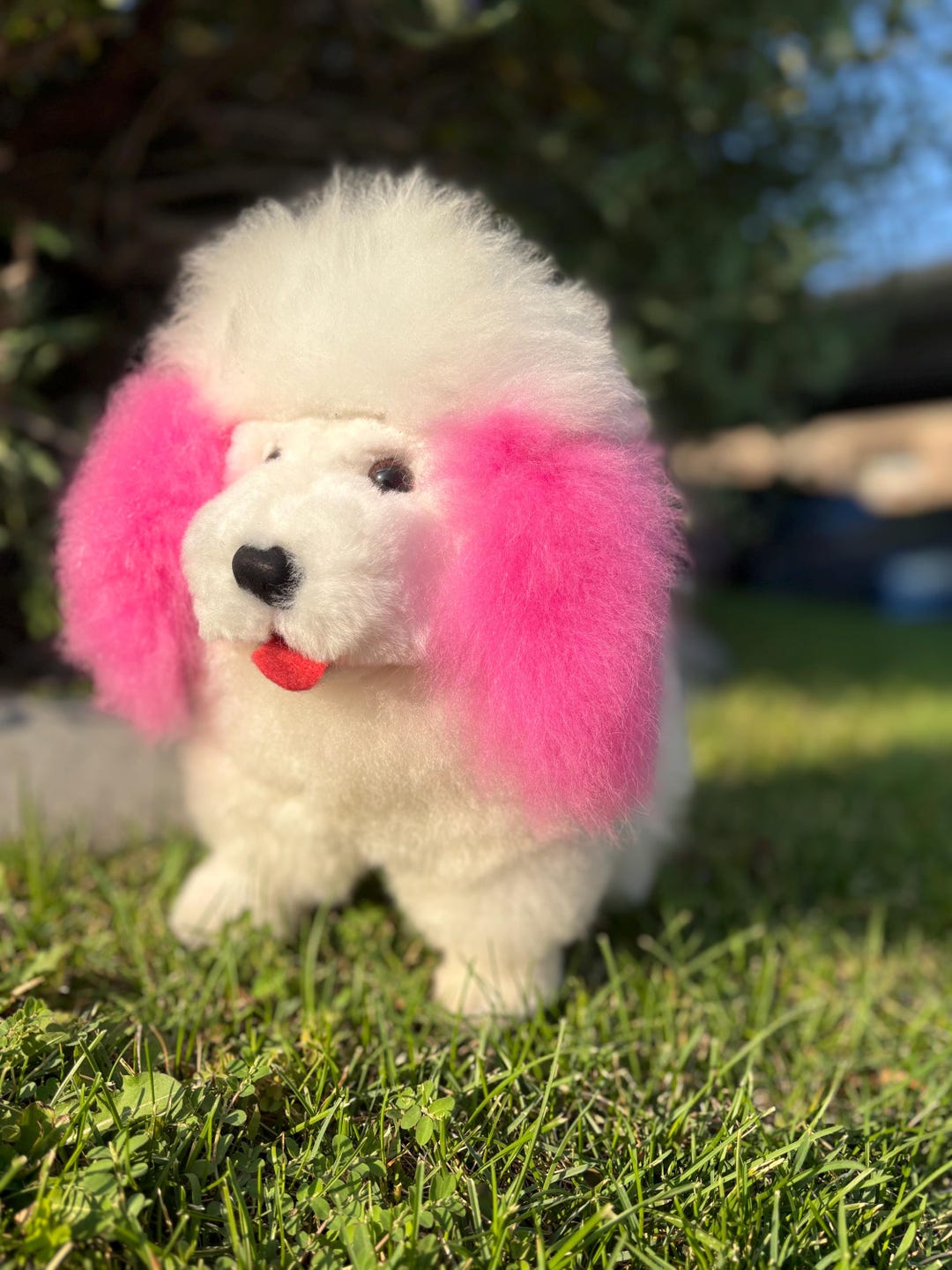 Alpaca Fur Poodle Plush Toy, Rare Find - Etsy Canada