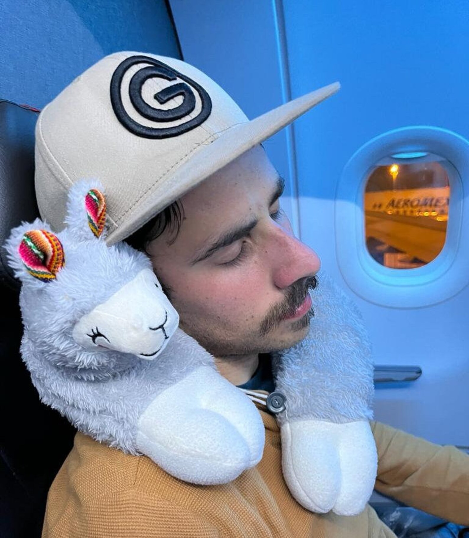 Llama Plush Travel Neck Pillow: Adult Nap Support - Etsy