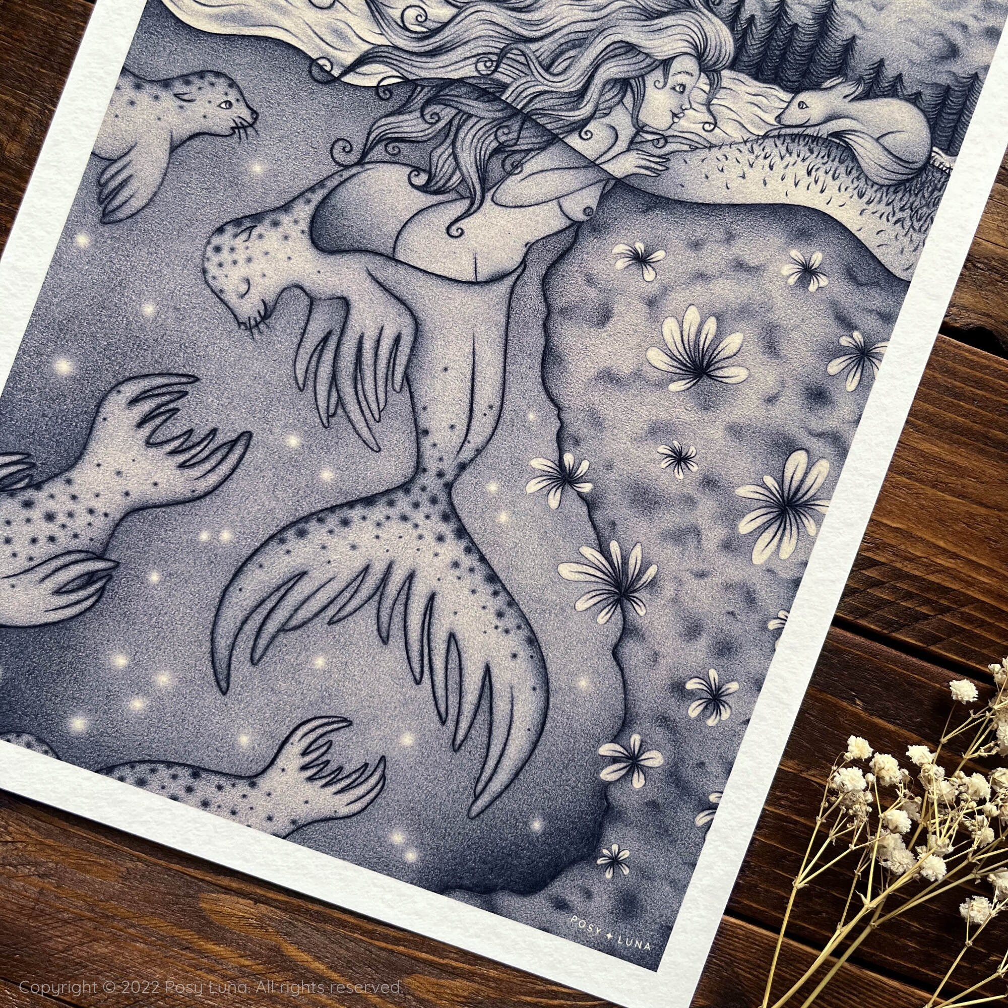 Selkie - Art Print - Scottish Folklore Wall Art Seal Woman - Etsy UK