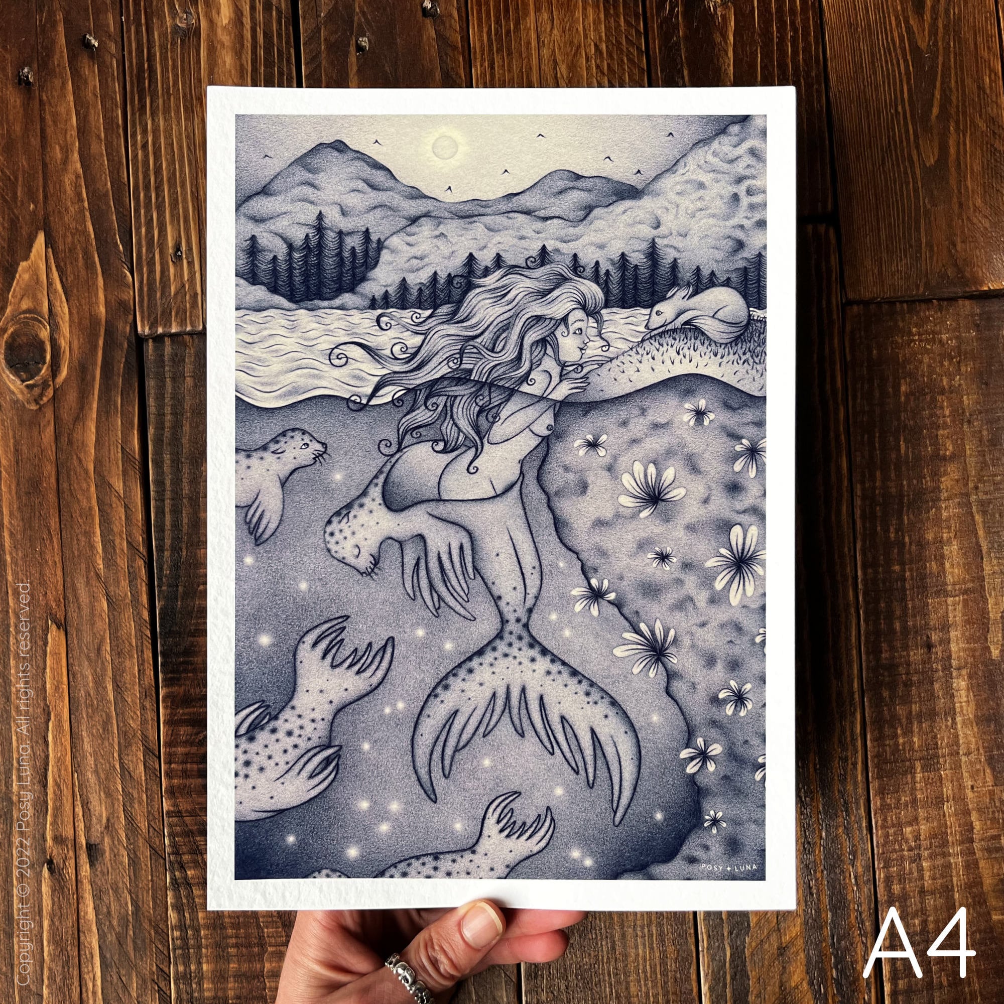 Selkie - Art Print - Scottish Folklore Wall Art Seal Woman - Etsy UK