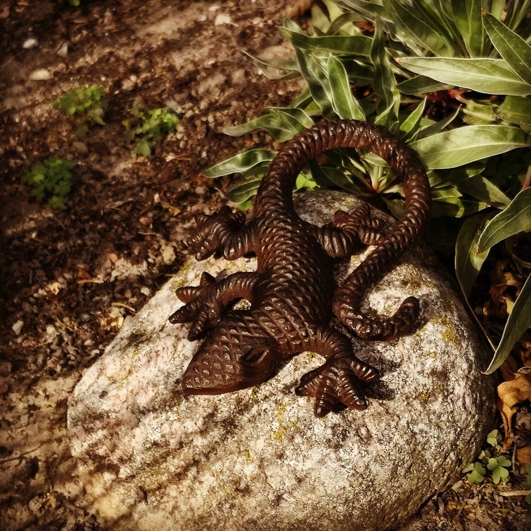 Lizard Cast Iron, Hand Forged Metal Lizard, Lizard Garden Decor, Lizard ...