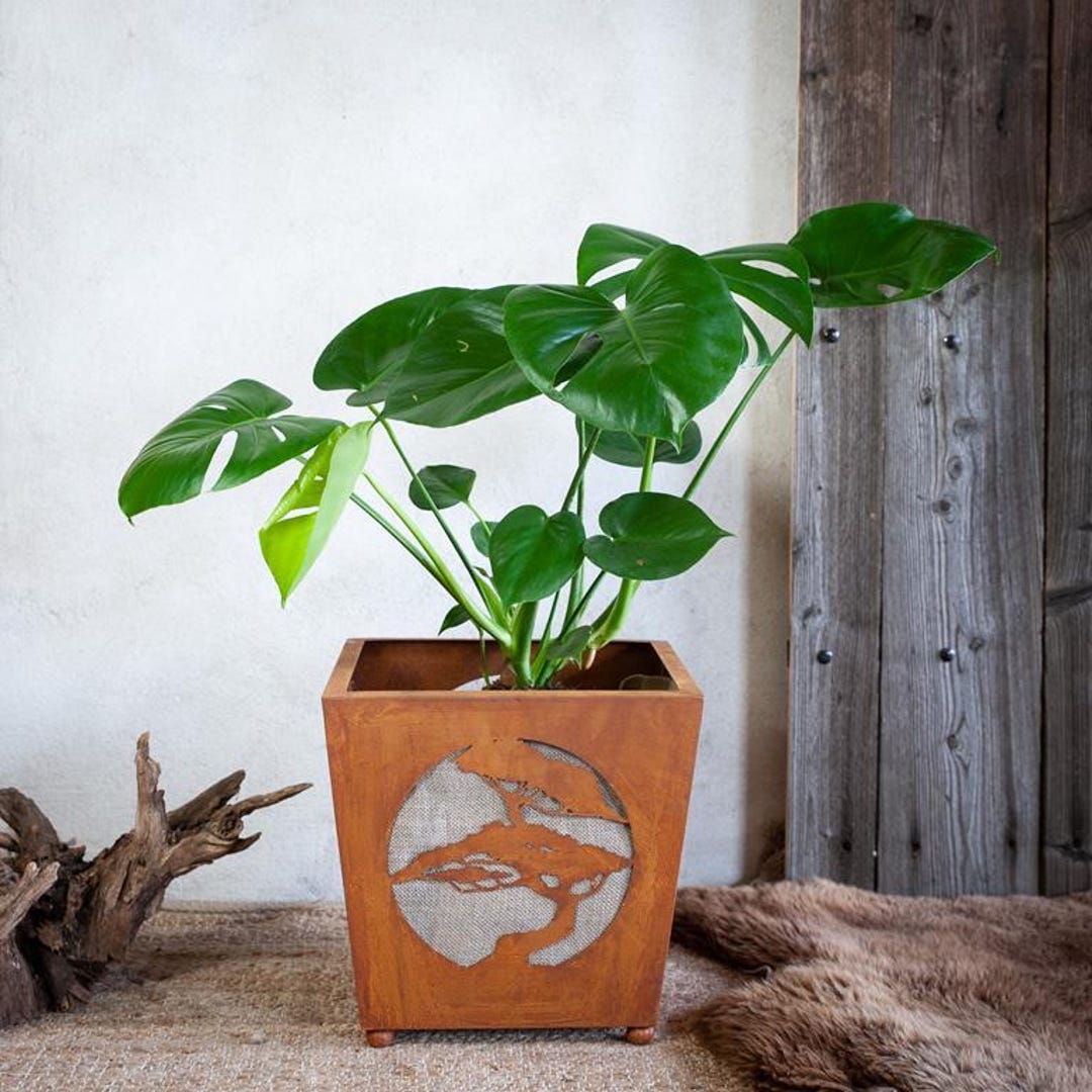 Living Room Pot, Rusty Flower Pot, Terrace Flower Pot, Pot Cover ...