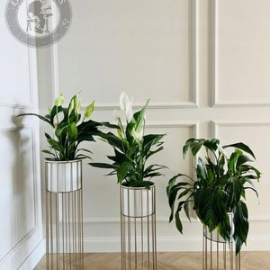 Steel Metal Plant Stands, Plant Box, Flower Stand, Free Standing Plant ...