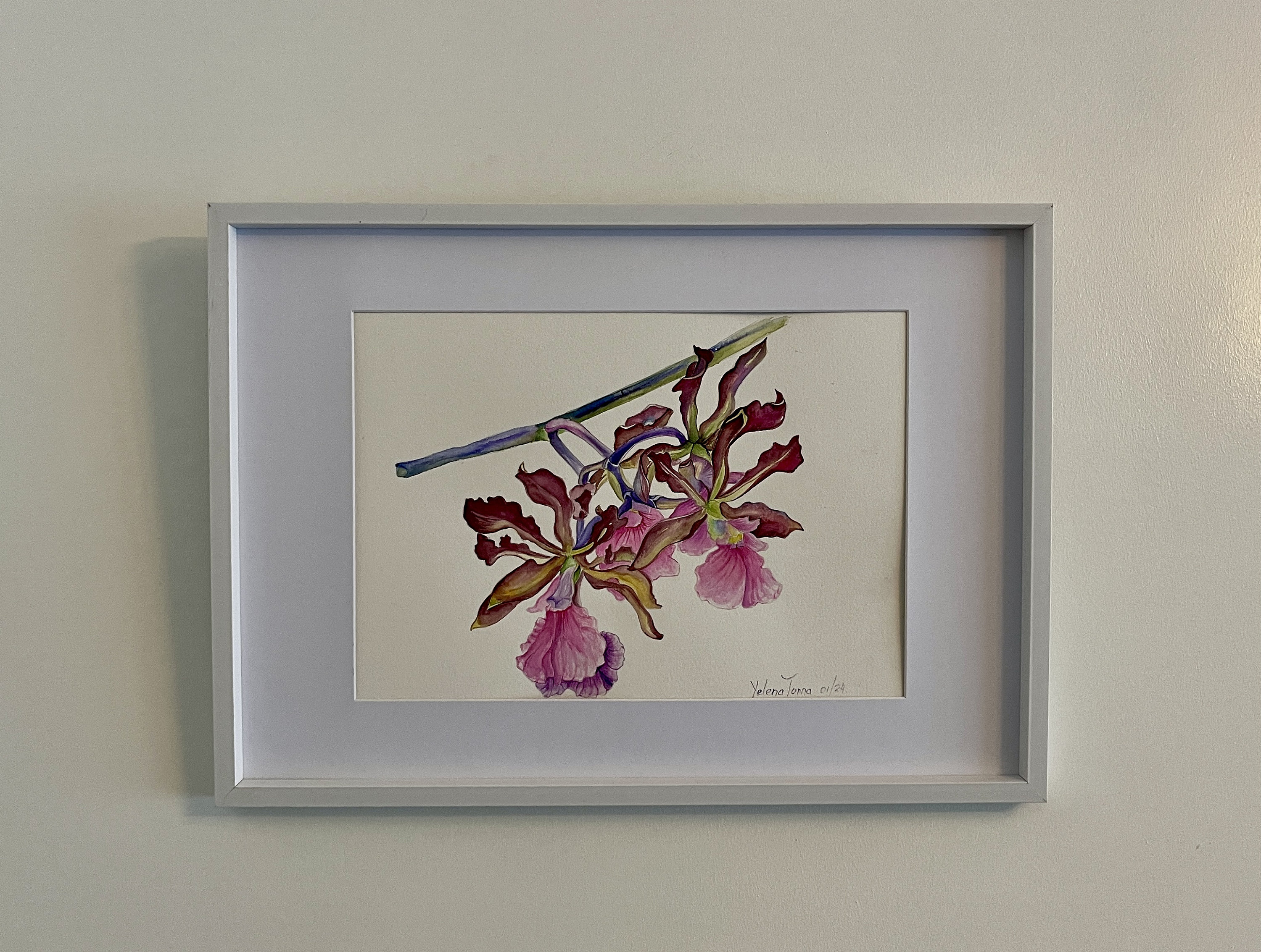 Original Watercolour Painting, A4, Rose, Botanical Impressionist, Gift ...