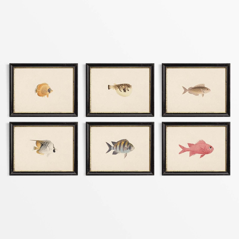 Vintage Fish - Etsy