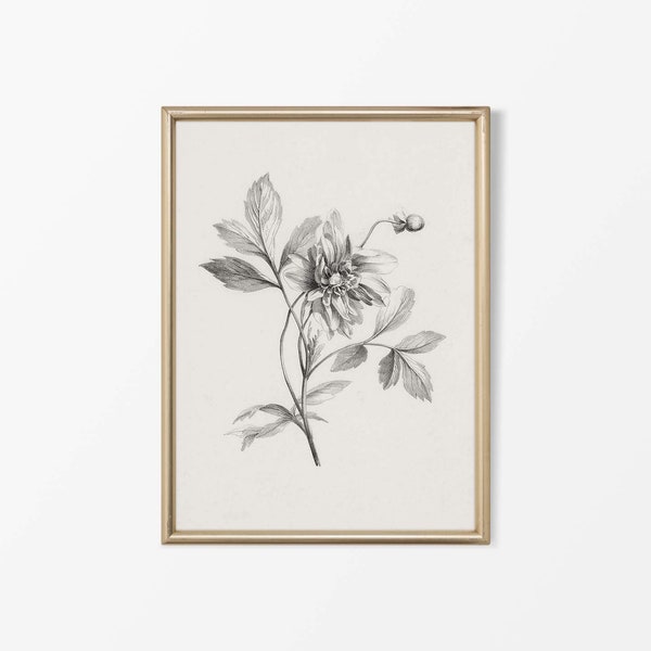 Flower Drawing - Etsy