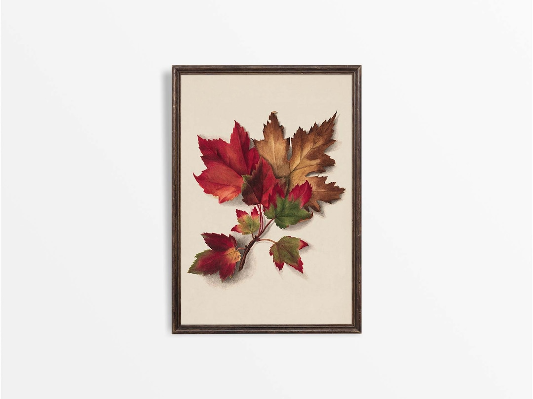 Antique Fall Leaves Watercolour Painting, Vintage Botanical Autumn Wall ...