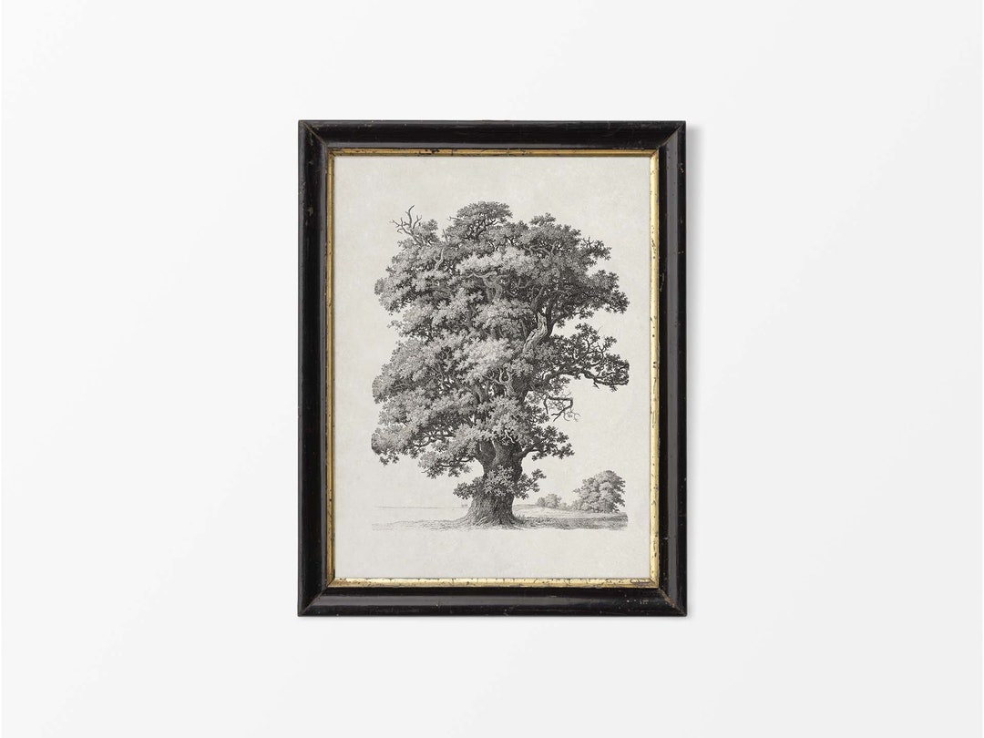 Neutral Vintage Tree Drawing, Minimalist Antique Sketch Wall Art ...