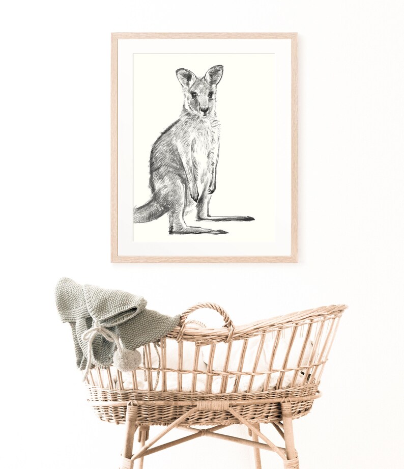 Printable Kangaroo Sketch Art Print Cute Hand-drawn Digital Animal ...